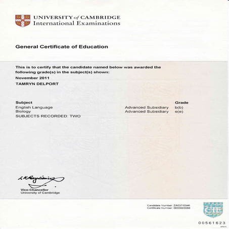 Certificate A Level
