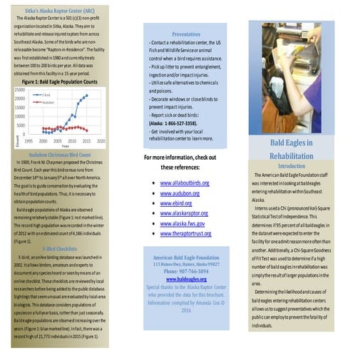 Bald Eagle Brochure- edu project | DOCX