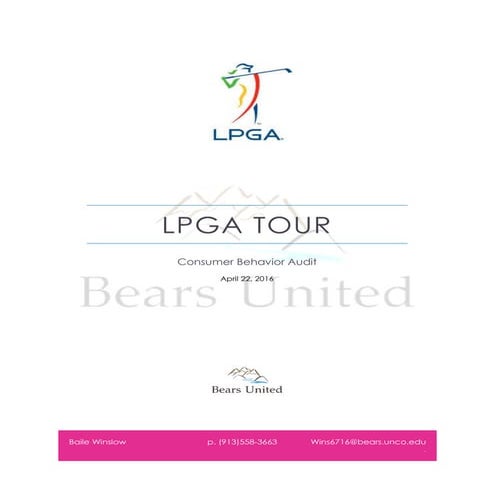 Consumer Behavior Audit | PDF