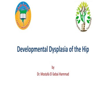 DDH introduction and algorithm.pptx