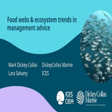 Food webs and ecosystem trandes in fisheroies management advice.m trends in advice ICES ASC 2024 ...