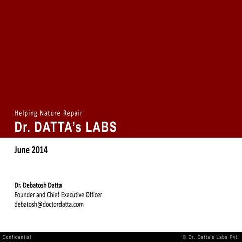 DDL - Overview - June 2014 | PPTX