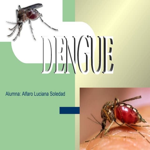 Dengue | PPT