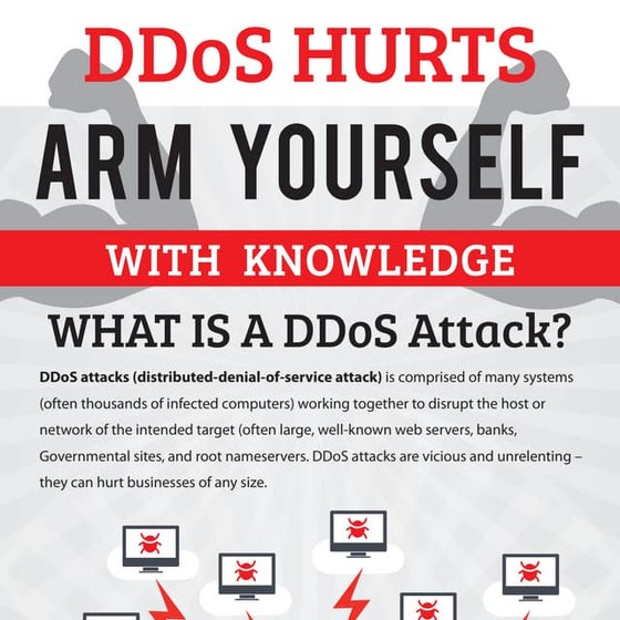 Infographic Why Ddos Mitigation Solutions Are Important Pdf