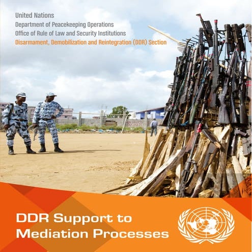 Ddr support in mediation process | PDF