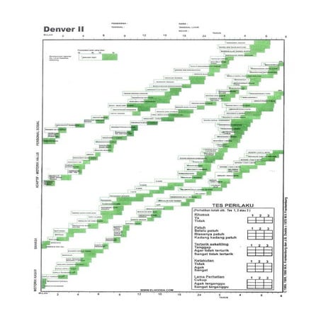 DDST.pdffffffffffffffffffffffffffffffffffff | PDF