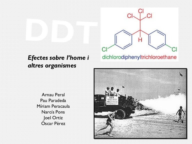 El DDT - Powerpoint