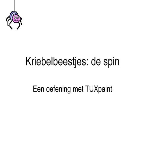 de spin Sebastiaan | PPS