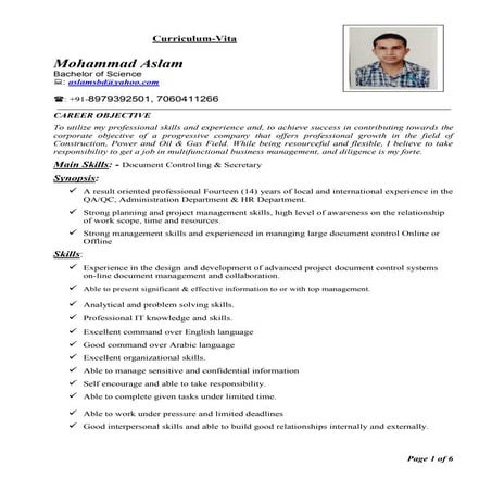 CV (Document Controller) | PDF