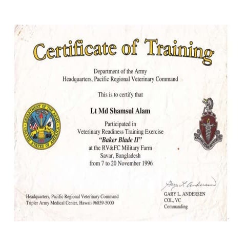 US Army Vet Cert | PPTX