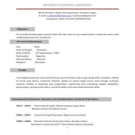Updated Nigerian CV | DOCX