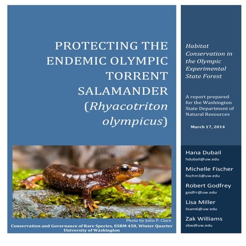 PROTECTING THE ENDEMIC OLYMPIC TORRENT SALAMANDER- Final Report | PDF