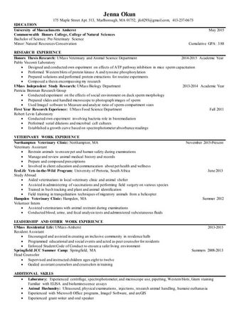 Zaky-Curriculum Vitae, 2015 | PDF