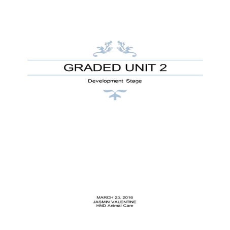 Graded unit 2 - Development Stage | DOCX