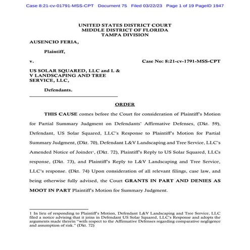 Presentation1 disciplinary proceedings pnp | PPT