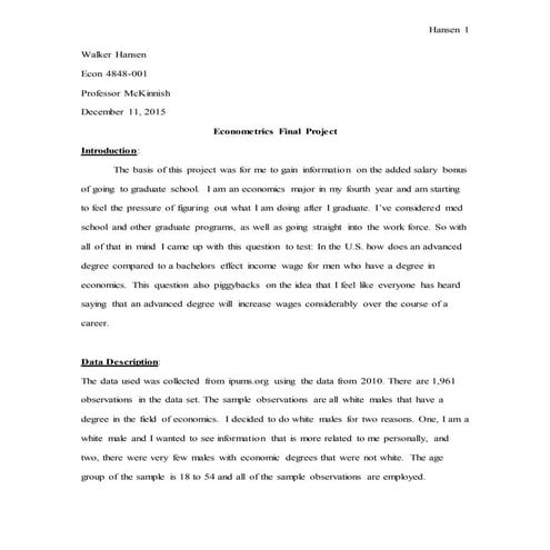 Econometrics Final Project | DOCX