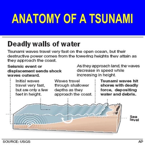 Deadly tsunamis cut path of devastation across Pacific | PPT