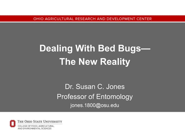 Bed bugs Presentation | PPTX