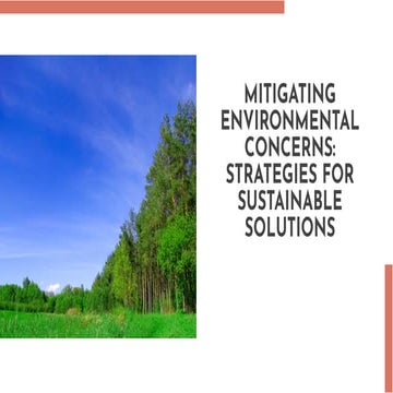Dealing With Environmental Concerns PPT.pdf