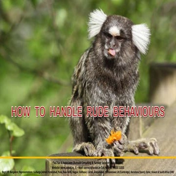 Dealing With Rudeness | PPTX