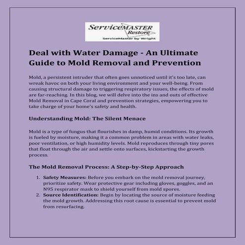 Mold Remediation Process.pdf