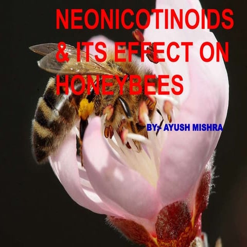 NEONICOTINOIDS & ITS EFFECT ON HONEY BEES | PPT