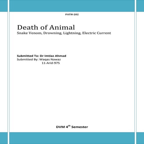 Death of animal | DOCX