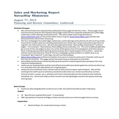 Sales and Marketing Report for planning and review | DOCX