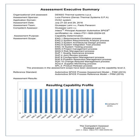 Assessment Executive Summary_DENSO | PDF