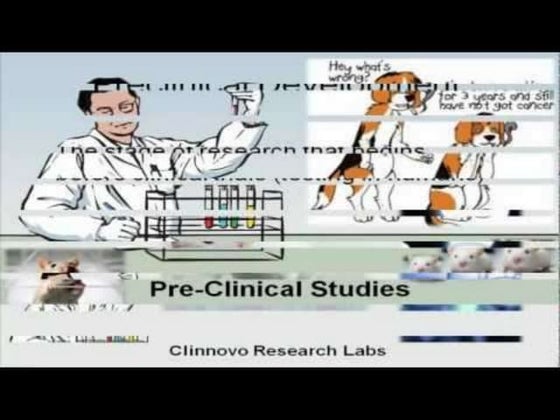 In vivo and in vitro studies | PPT