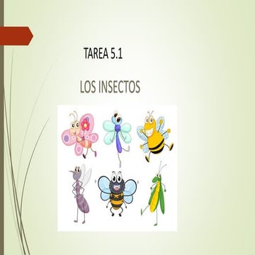 El impresionante mundo de los insectos. | PPTX