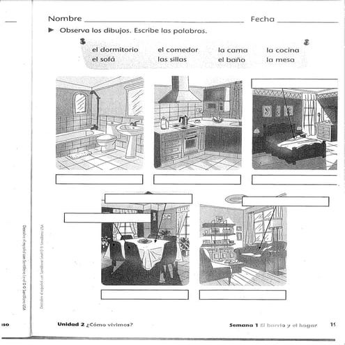 Family tree project_and_rubric_5th_grade | PDF
