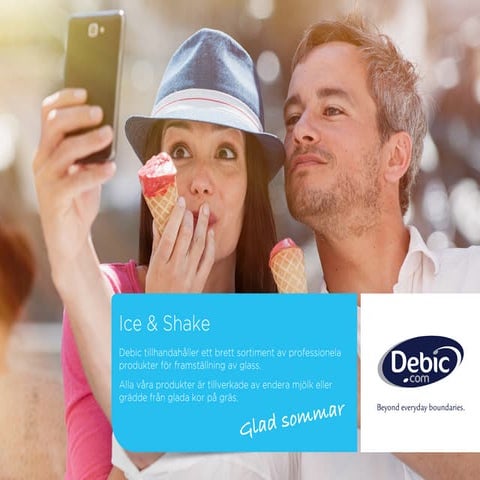 Debic Ice&Shake SE | PPT