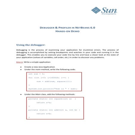 Debugger And Profiler In Netbeans Docx Operating Systems Computer Software And Applications