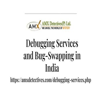 Debugging Services and Bug-Swapping in India.pdf | Computer Software and Applications | Computing
