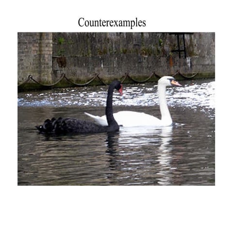 Dec.10 Counterexamples | PPT