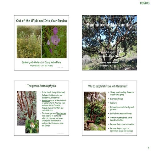 Magnificant Manzanitas - Notes | PDF | Gardening | Home & Garden