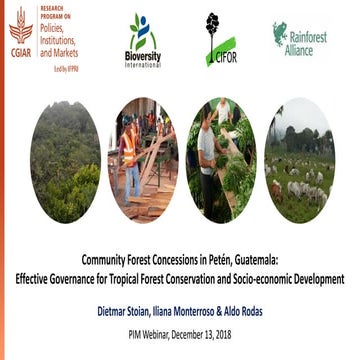 Community forest concessions in Petén, Guatemala: Effective governance ...