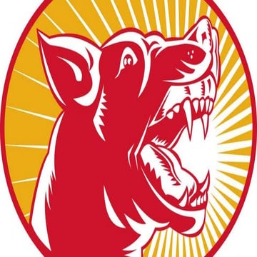 What Does Being An Alpha Really Mean? | PPT