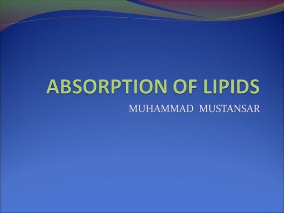 Boundaries of flank and paralumbar fossa | PPTX