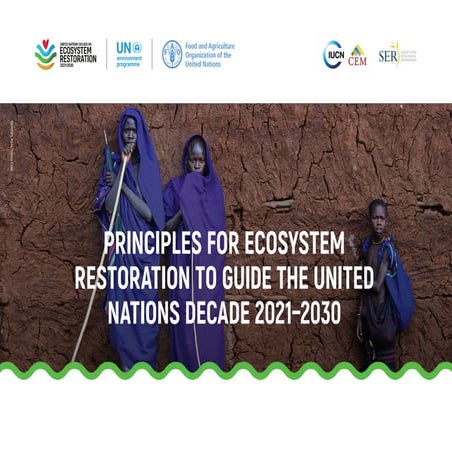 DECADE ON RESTORATION DECADE UNO ONU ODS | PDF