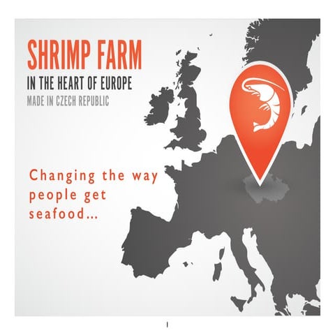Shrimp Farm Project Report | PDF