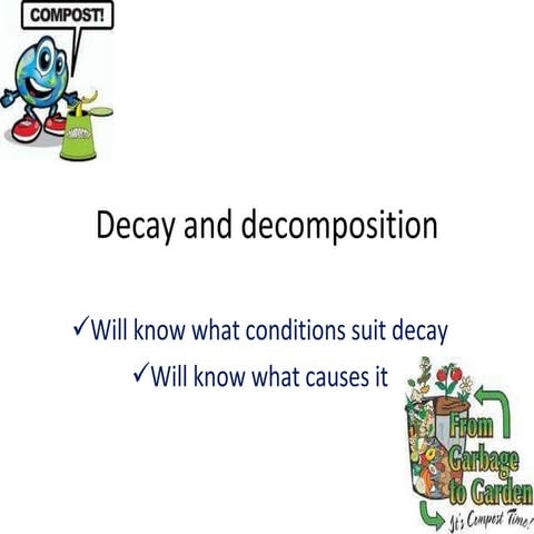 Decay And Decomposition | PPT