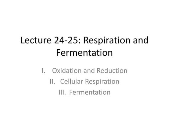 Enterobacteriaceae , Enterobacter and their Biochemical Test | DOCX