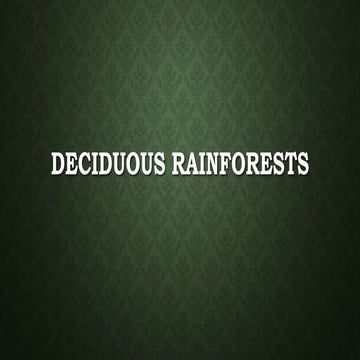 Deciduous rainforests | PPTX