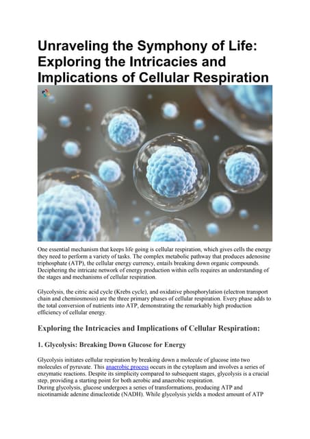Cellular Respiration High School Biology Level | PDF