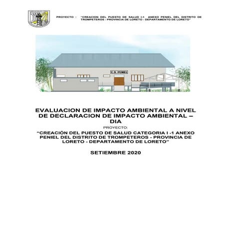 DECLARACION DE IMPACTO AMBIENTAL.pdf
