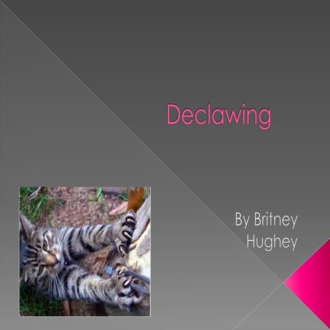 Declawing | PPTX