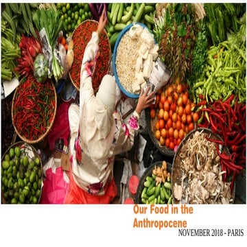 Our food in the Anthropocene | PPT
