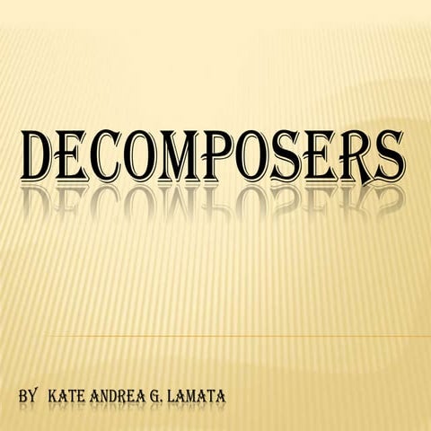 Decomposers | PPT